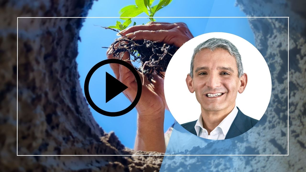 Alon Neches: In for the long haul | Bermuda Re